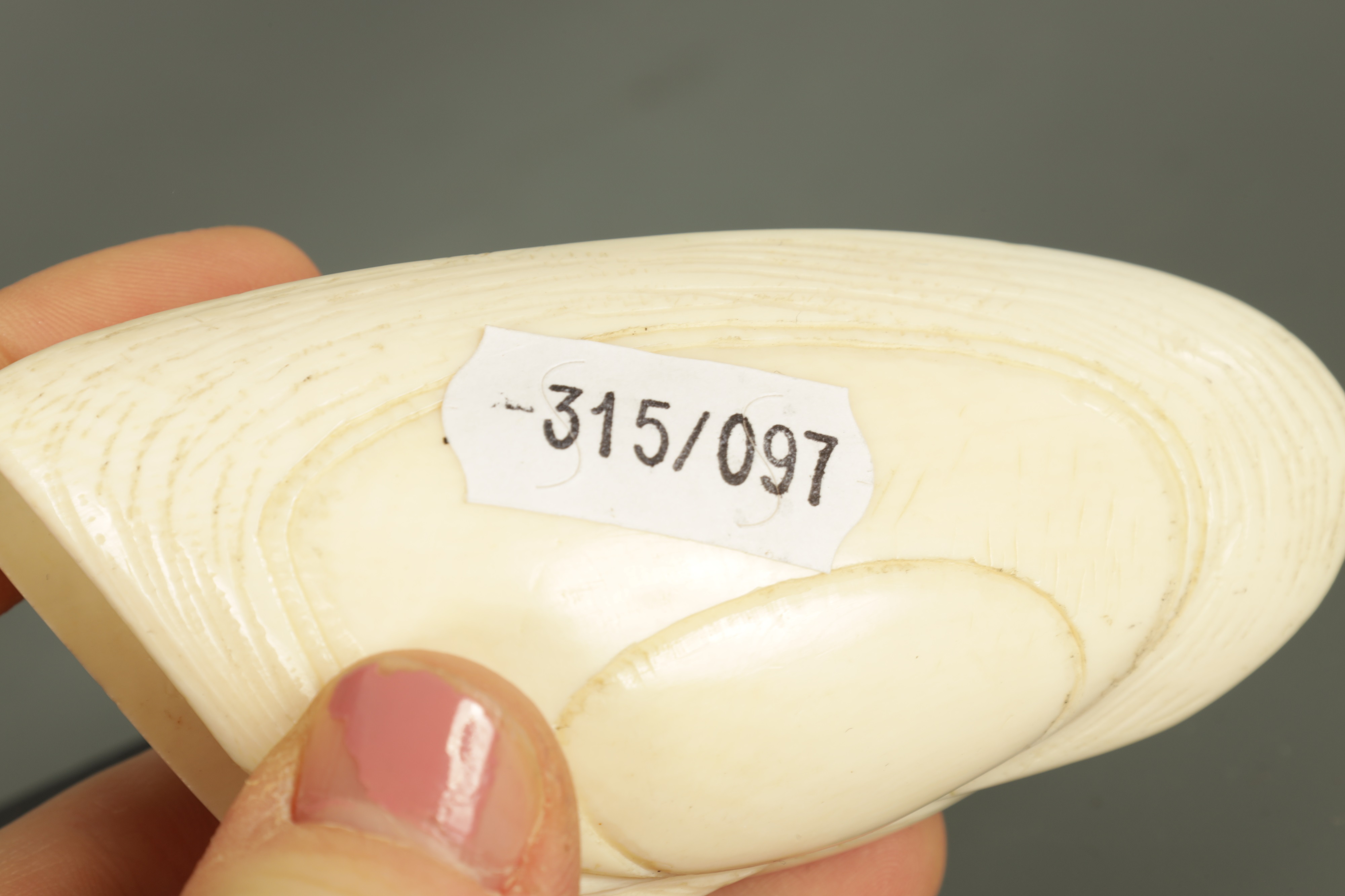 Lot 253 - A 19TH CENTURY CANTONESE CARVED IVORY CLAM