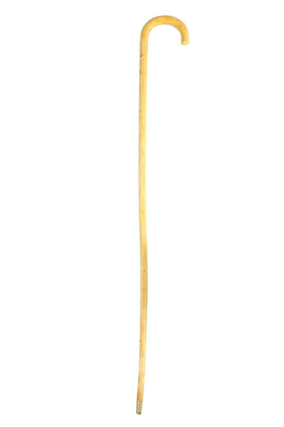 Lot 457 - AN UNUSUAL FISH BONE WALKING STICK