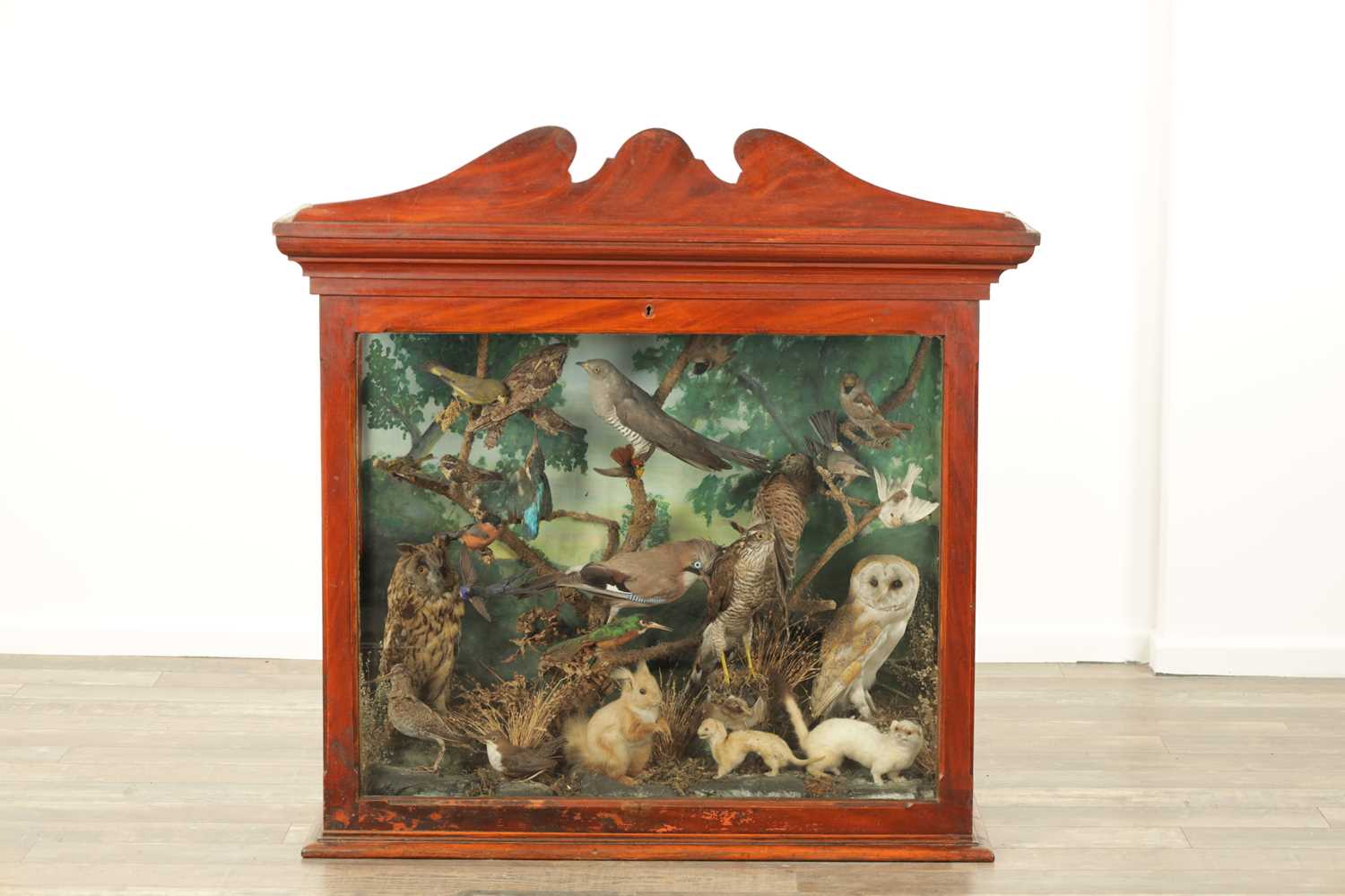 Lot 612 - A GOOD VICTORIAN CASED TAXIDERMY
