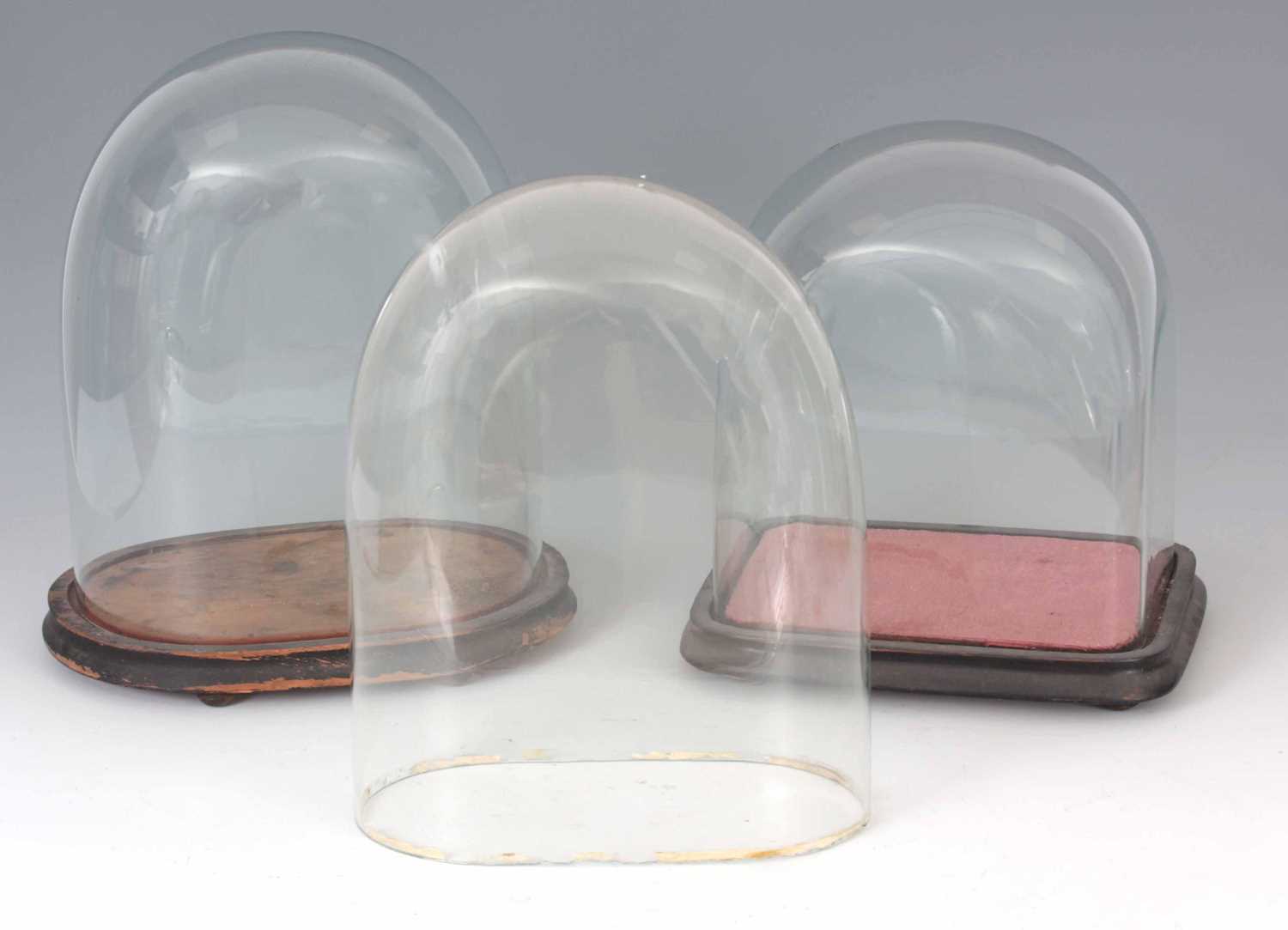 Lot 747 - THREE VICTORIAN GLASS DOMES 23cm wide 25cm