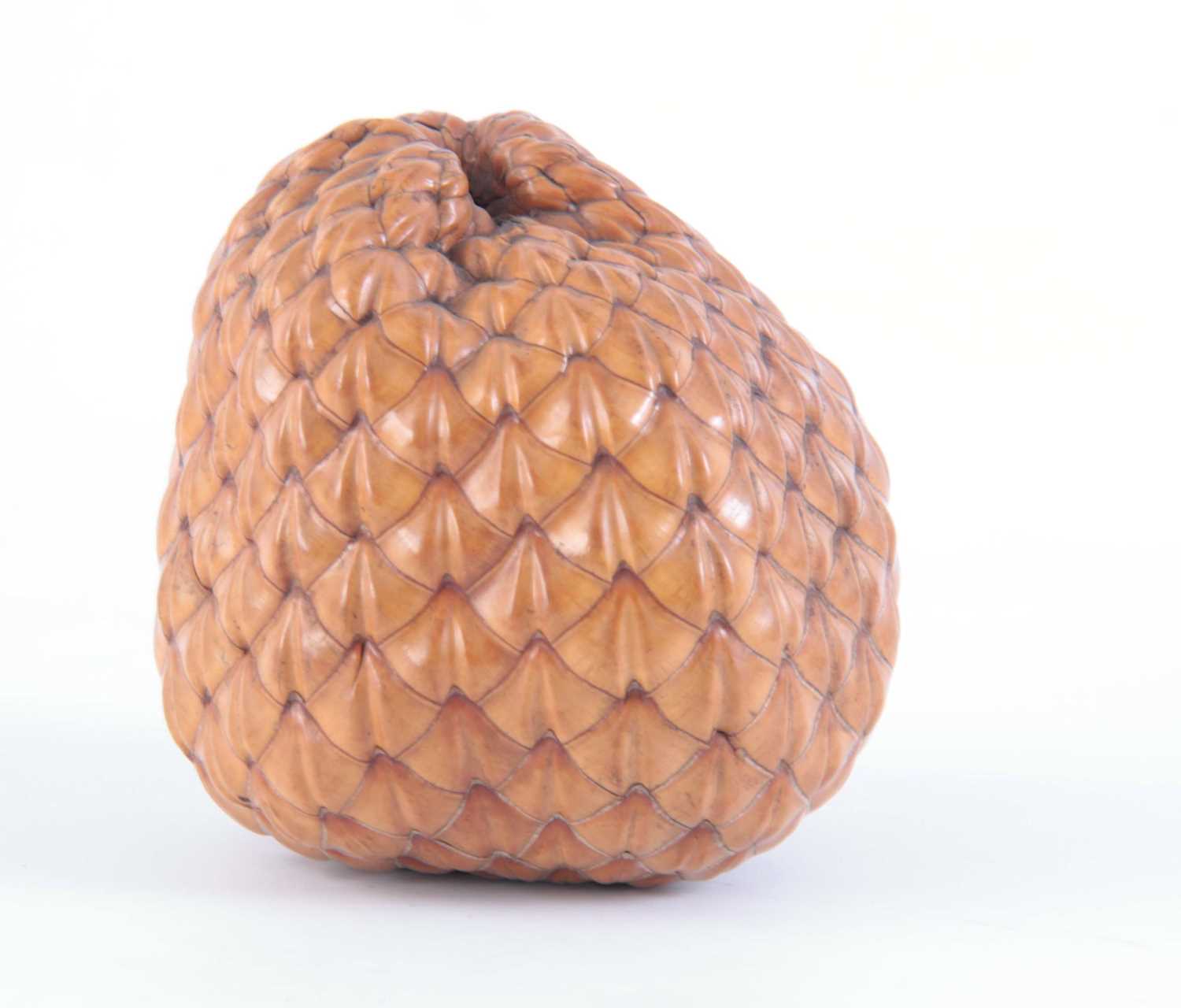 Lot 529 - A 19TH CENTURY UNUSUAL SPECIMEN THIKA POD